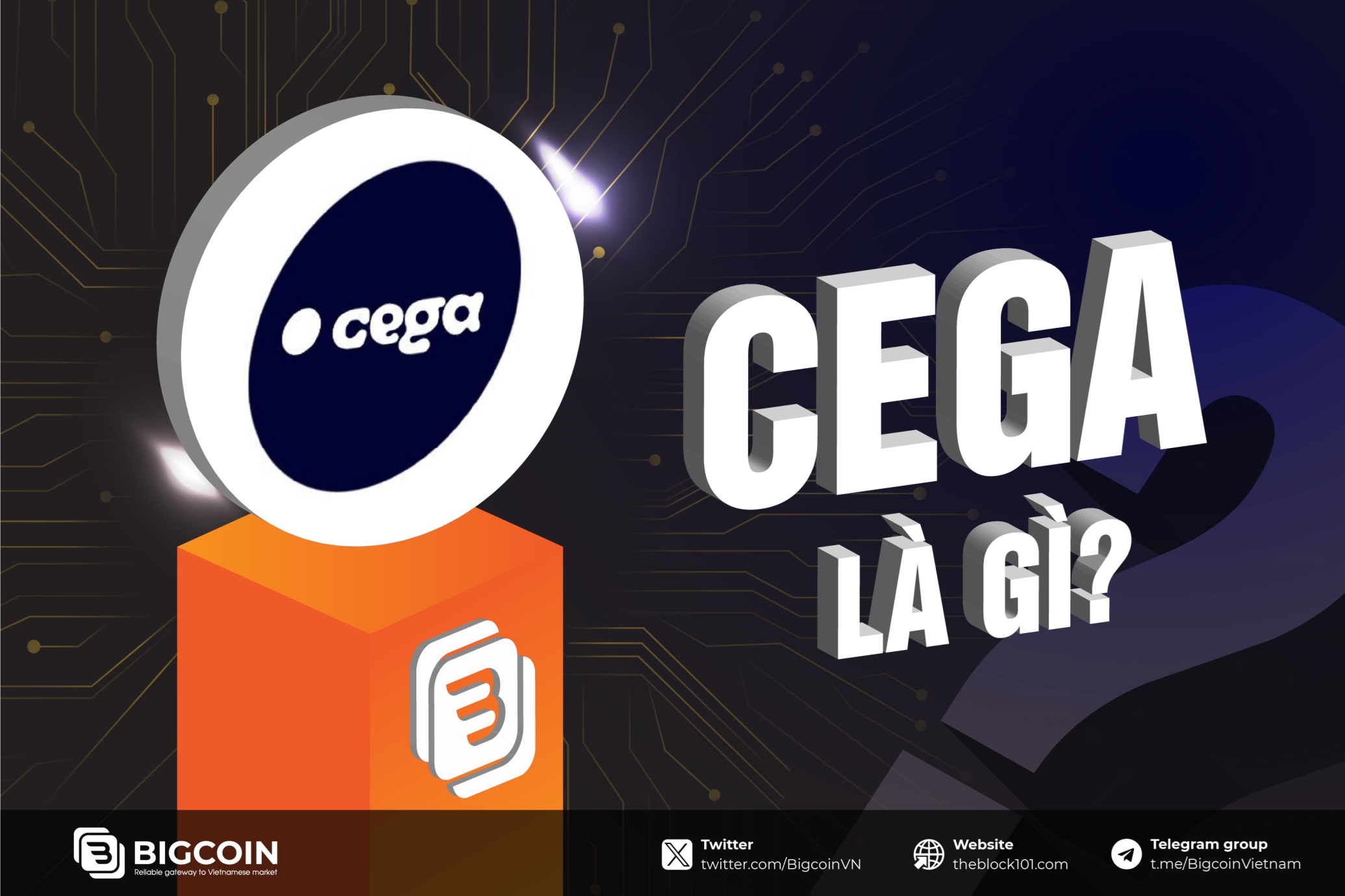 Cega là gì? Tổng quan dự án Cega