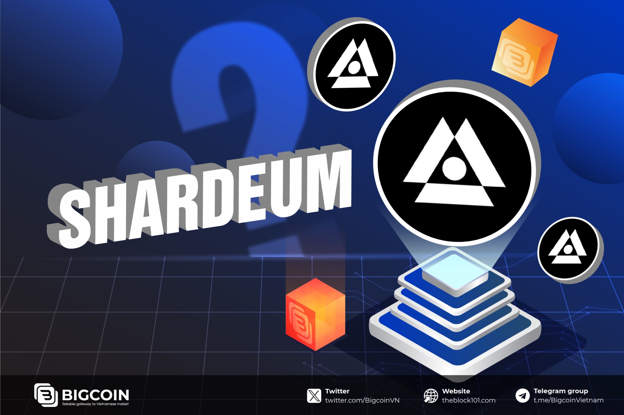 Shardeum là gì? Tổng quan về dự án Shardeum