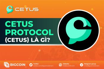 Cetus Protocol (CETUS) là gì? Tổng quan về AMM DEX trên Sui và Aptos