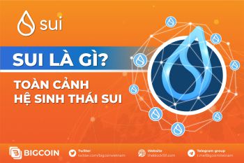 What is Sui? Overview of the Sui blockchain ecosystem (latest 2024)