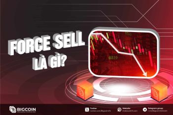 Force Sell là gì? Đầu tư thế nào để tránh Force Sell