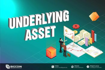 Underlying asset là gì? 8 loại tài sản cơ sở phổ biến trong crypto