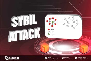 Sybil Attack là gì? 6 cách phòng chống Sybil Attack cho nhà đầu tư