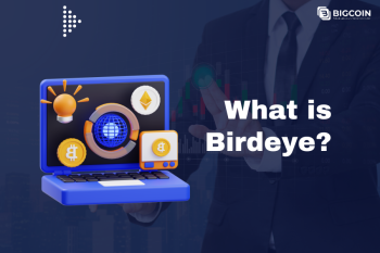 What is Birdeye? How to become a better crypto trader with Birdeye