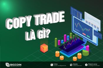 What is Copy Trade? Top 3 popular copy trade platforms