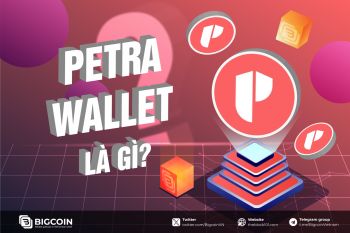 What is Petra Wallet?
