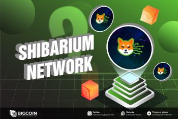 Shibarium là gì? Tổng quan blockchain layer 2 trên Shiba Inu