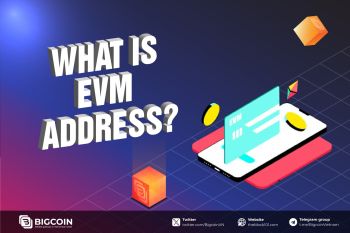 A detailed guide to EVM Wallet Addresses: Purpose, Structure and ...