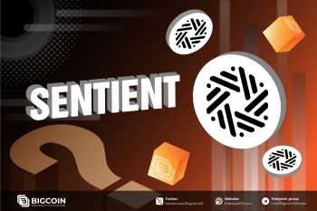 Sentient là gì? Tìm hiểu về dự án AI mã nguồn mở kêu gọi thành công 85 ...
